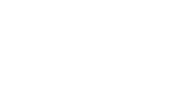 Regulation D Rule 506(b) Offering - Mangum & Associates
